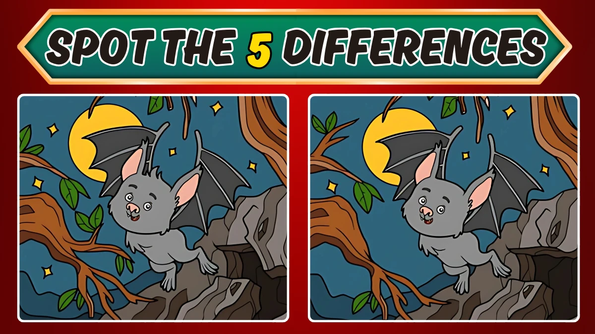 Brain Teaser Spot the Difference Game: Only People with Extra Sharp ...