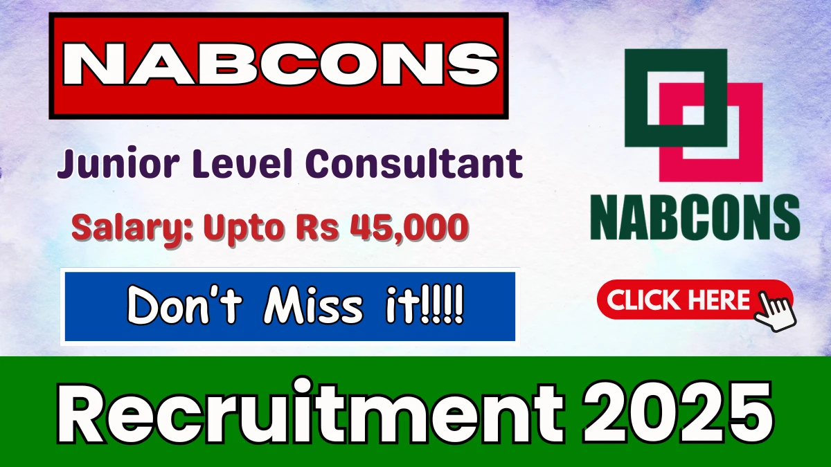 NABCONS Junior Level Consultant Recruitment 2025 - Apply Online for 01 ...