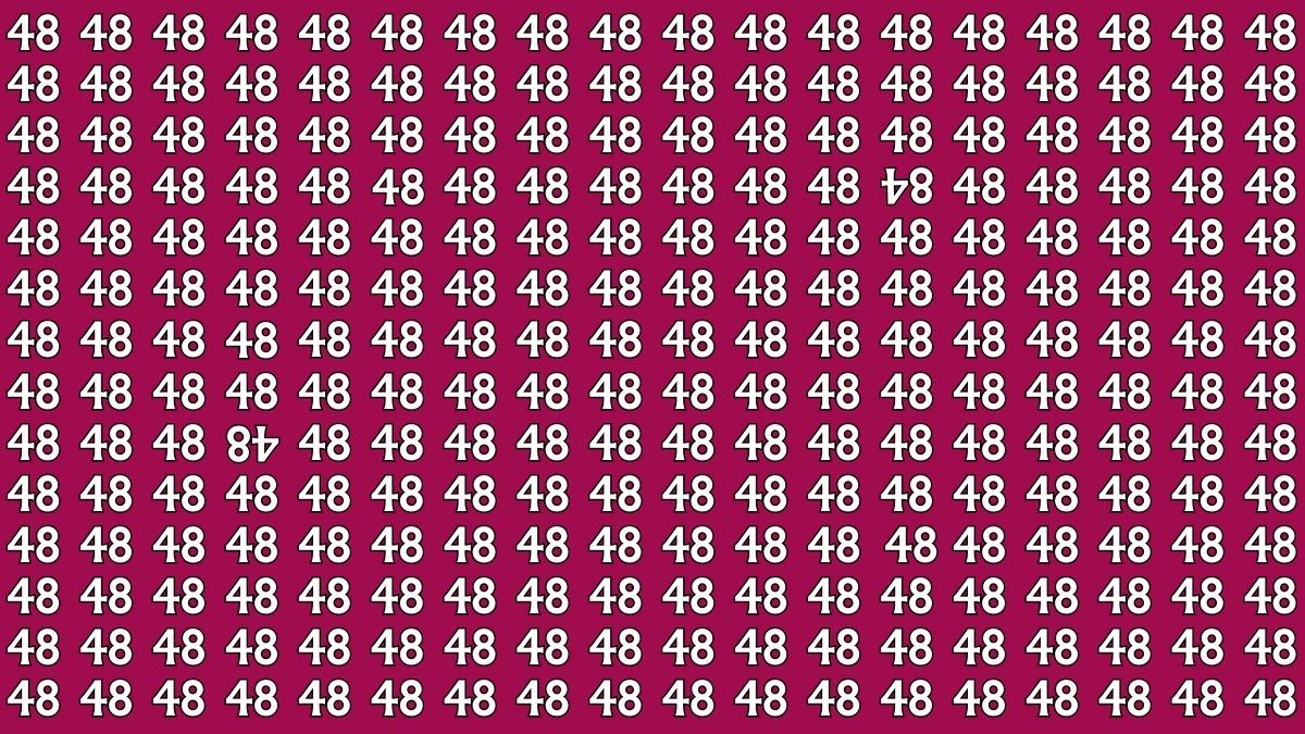 Optical Illusion: Within 6 Seconds Spot The Inverted 84 and 48 among 48s