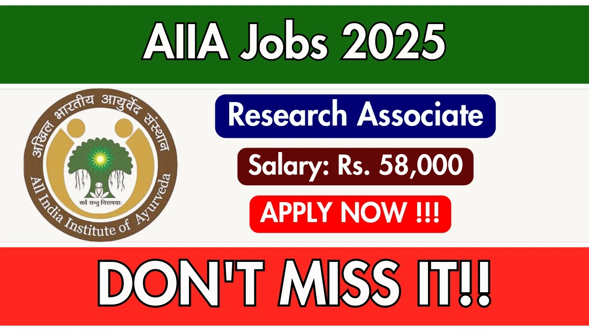 AIIA Research Associate Recruitment 2025 – Walk in