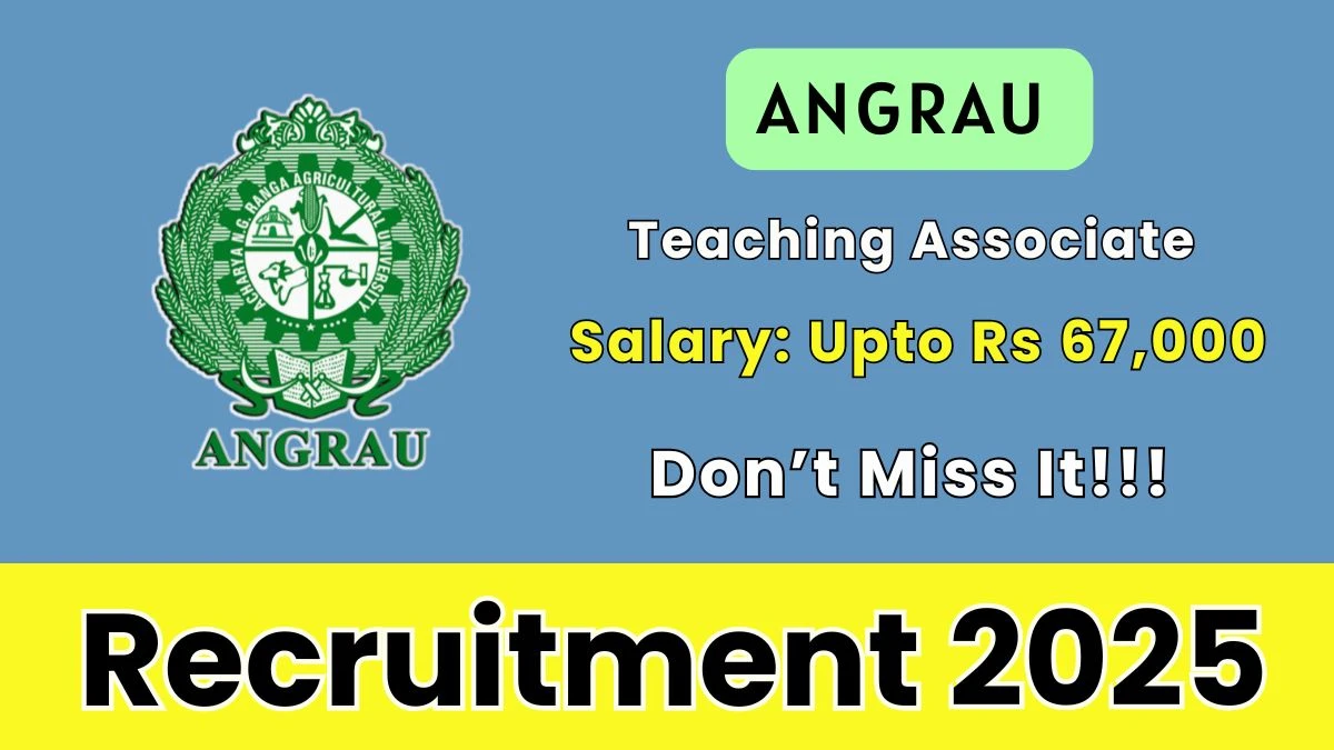 ANGRAU Teaching Associate Recruitment 2025 – Walk in