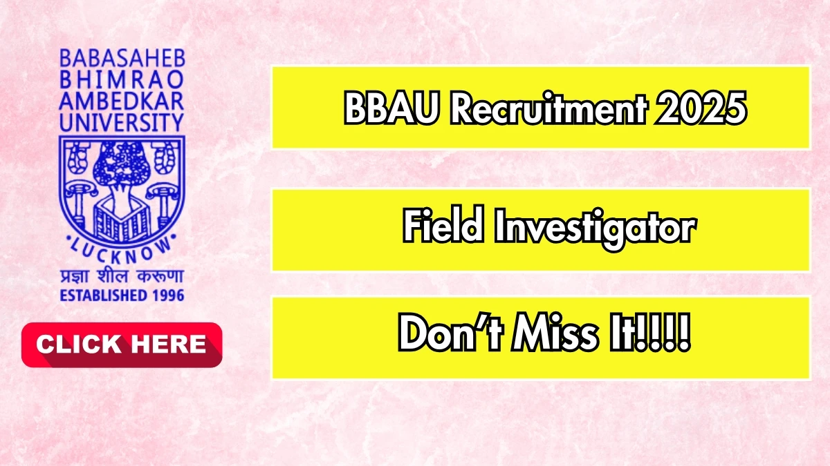 BBAU Field Investigator Recruitment 2025 - Apply Offline for 01 Posts