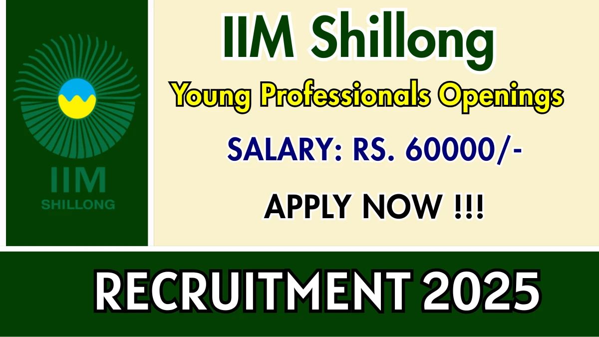 IIM Shillong Young Professionals Recruitment 2025 - Apply Online for 02 ...
