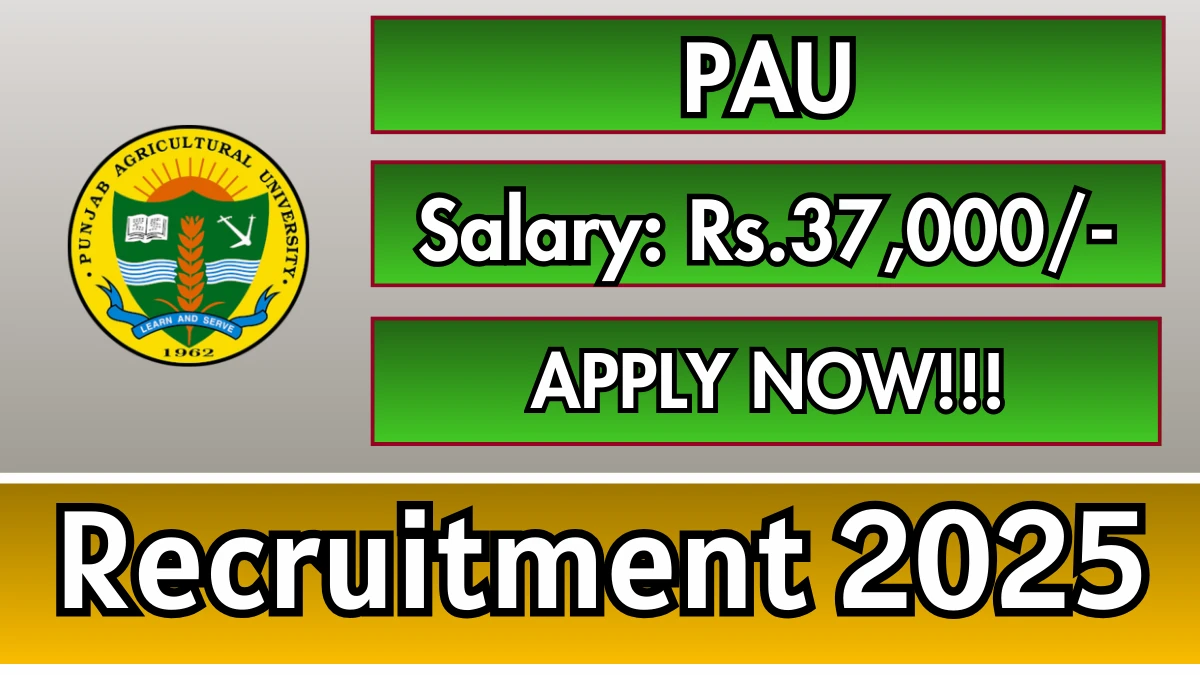 PAU Junior Research Fellow Recruitment 2025 - Apply Offline