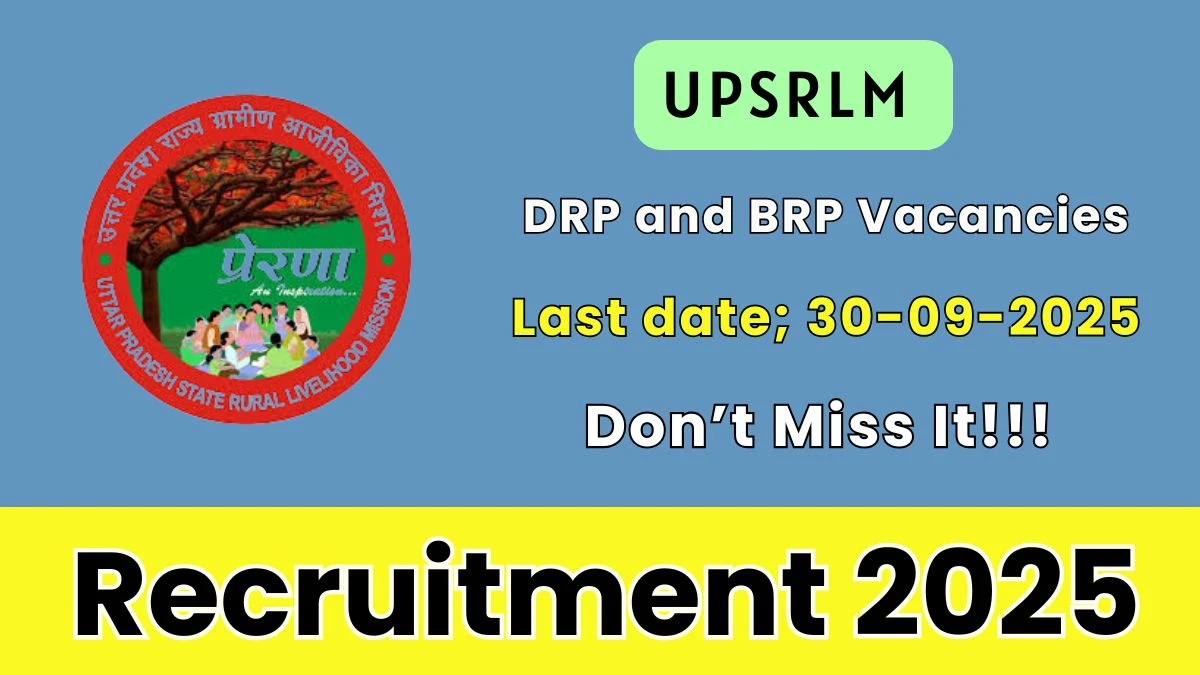 UPSRLM Recruitment 2025 - Apply Offline for 17 District Resource Person ...