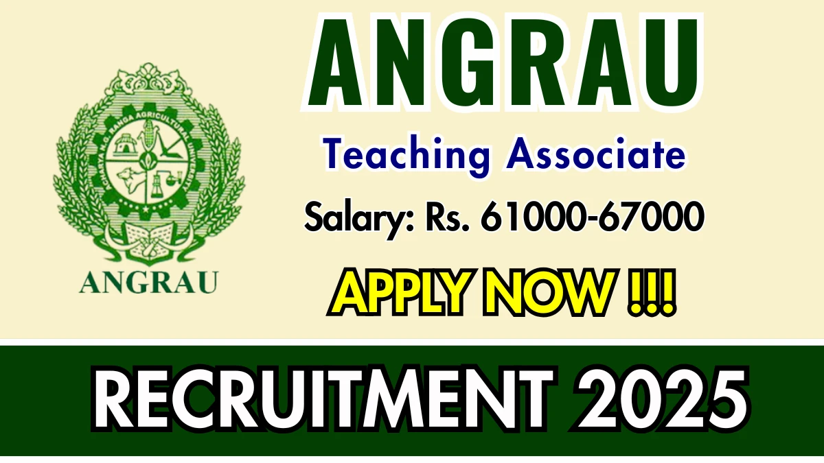 ANGRAU Teaching Associate Recruitment 2025 – Walk in for 01 Posts