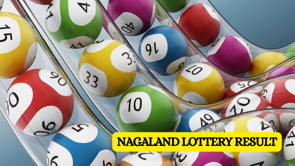 Nagaland Dear Lottery Sambad Result Today 03-10-2025 8 PM OUT: Check ...