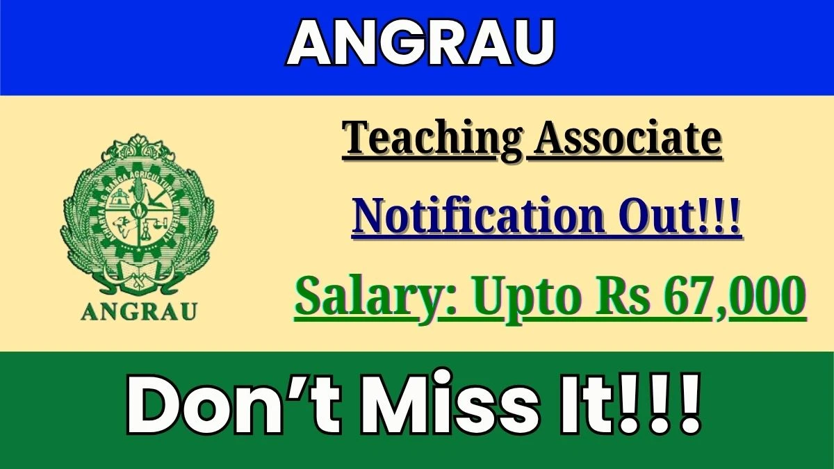 ANGRAU Teaching Associate Recruitment 2025 – Walk in for 01 Posts