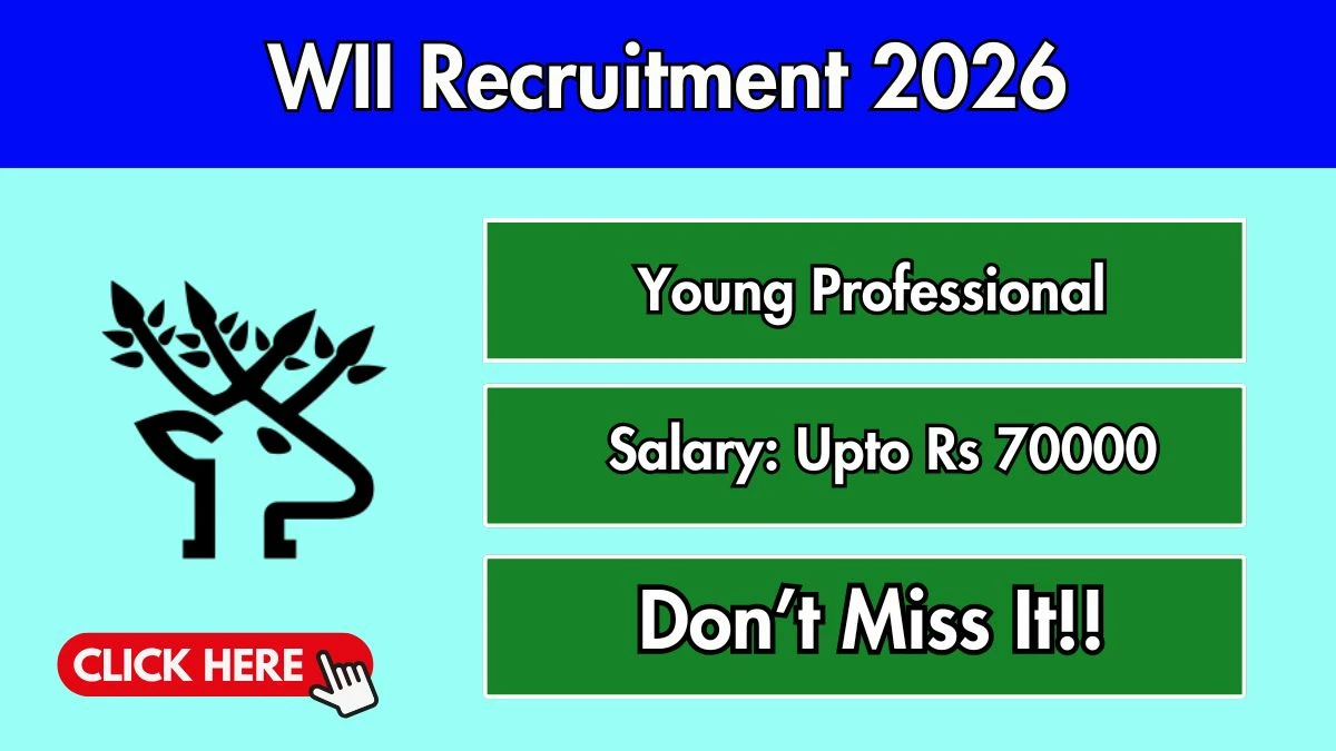 WII Young Professional Recruitment 2026 - Apply Online